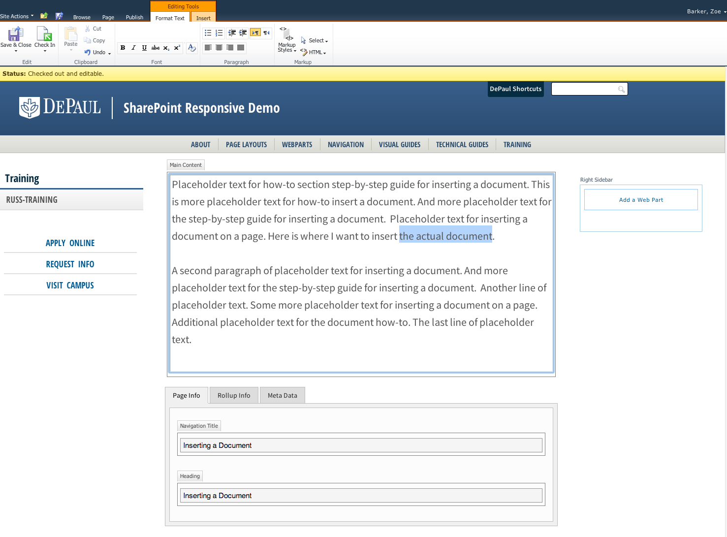 Uploading/Inserting Documents | Basics | SharePoint Information Site | DePaul University, Chicago